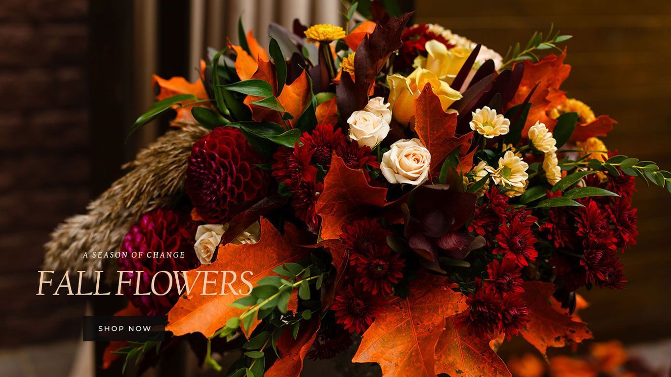Florist Denver CO - Flower Delivery Denver Colorado